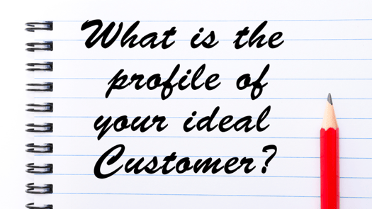 How Audience Profiling & Segmentation Drive Customer Success and Take ...